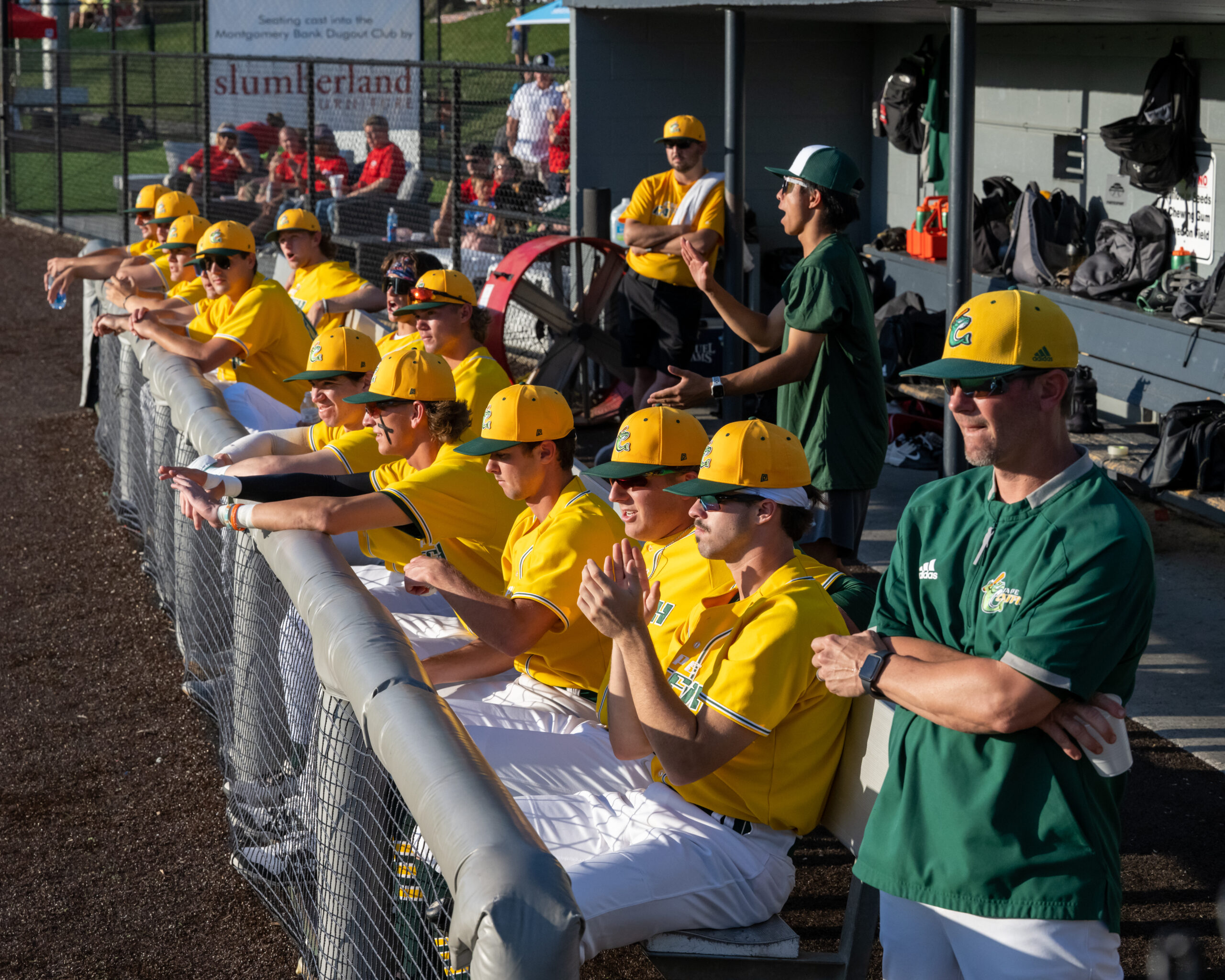 Catch all the Catfish games on PLTV - Cape Catfish