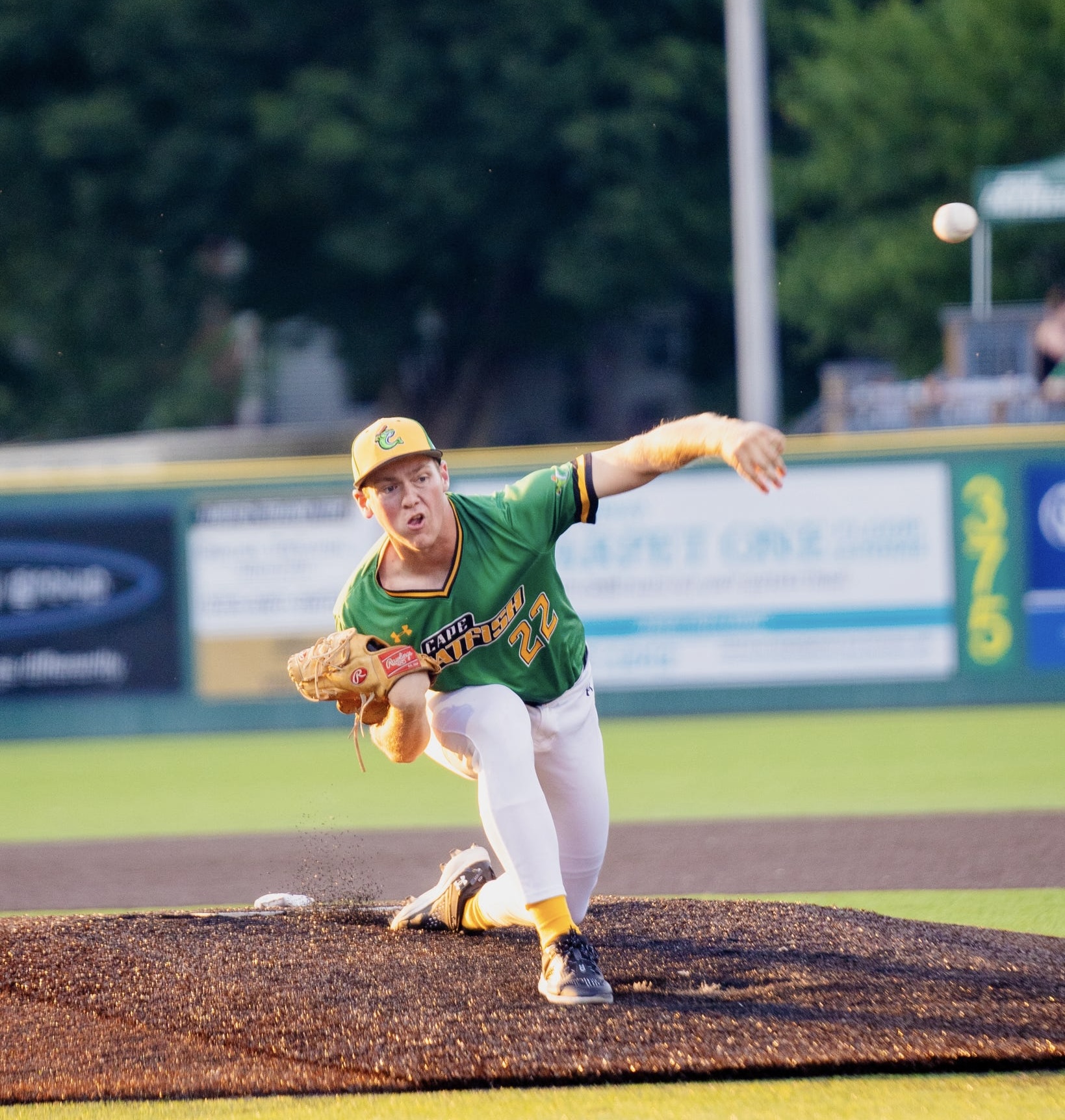 Catfish drop their 8th one run game - Cape Catfish
